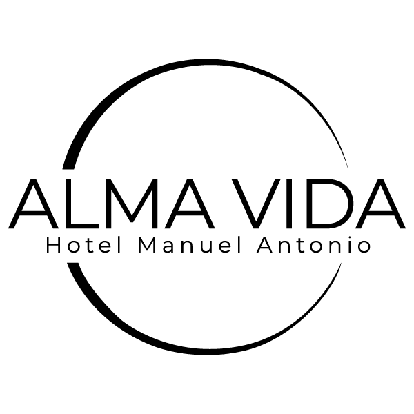 The Hotel | Alma Vida Hotel